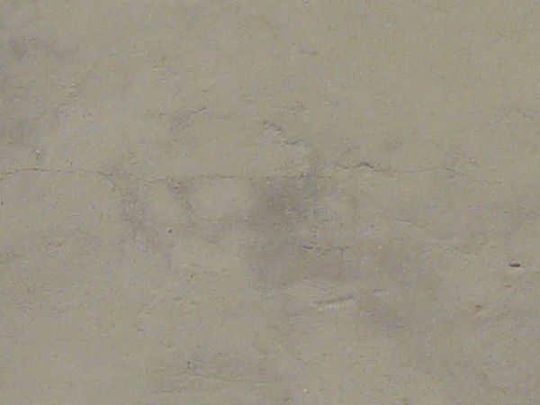 new plaster texture 0010 - Texturelib