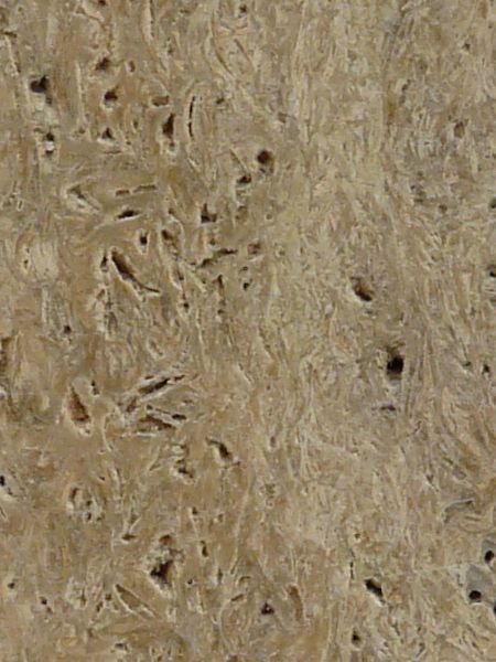 new plaster texture 0014 - Texturelib