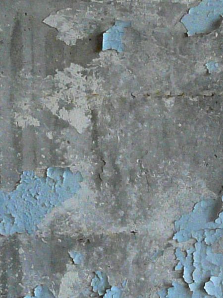 painted plaster texture 0006 - Texturelib