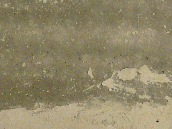 painted plaster texture 0009 - Texturelib