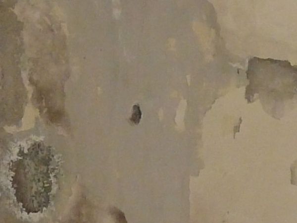 painted plaster texture 0009 - Texturelib