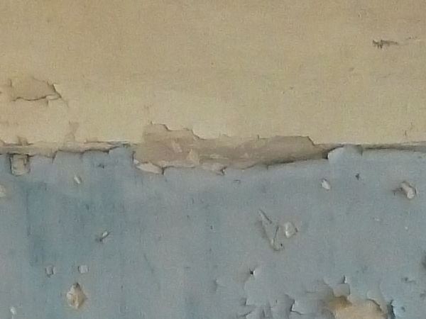 painted plaster texture 0012 - Texturelib