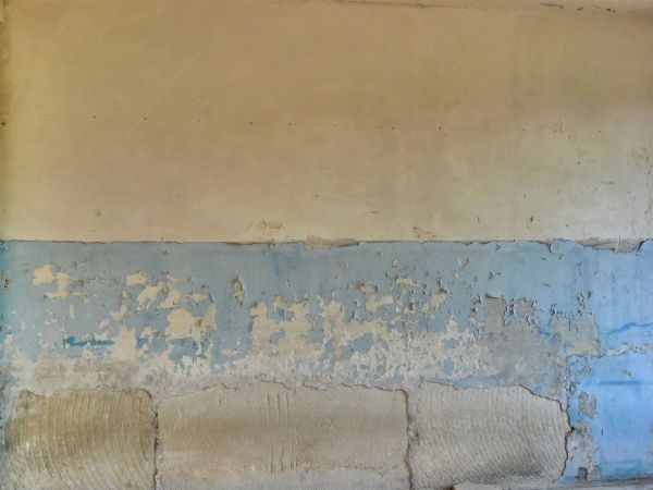 painted plaster texture 0012 - Texturelib