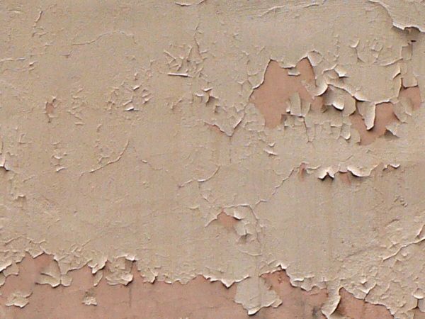 painted plaster texture 0025 - Texturelib