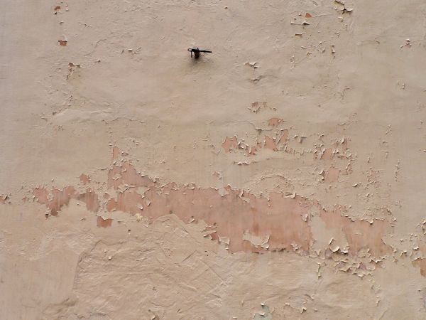 painted plaster texture 0025 - Texturelib