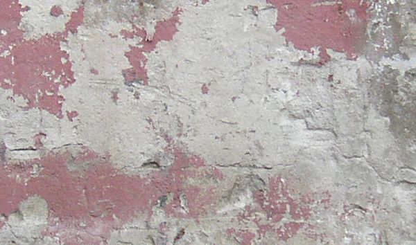 painted plaster texture 0026 - Texturelib