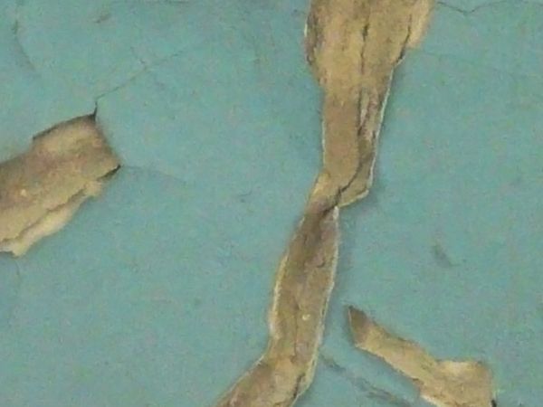 painted plaster texture 0027 - Texturelib