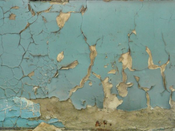 painted plaster texture 0027 - Texturelib