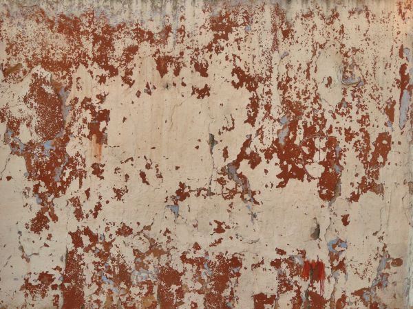 painted plaster texture 0037 - Texturelib