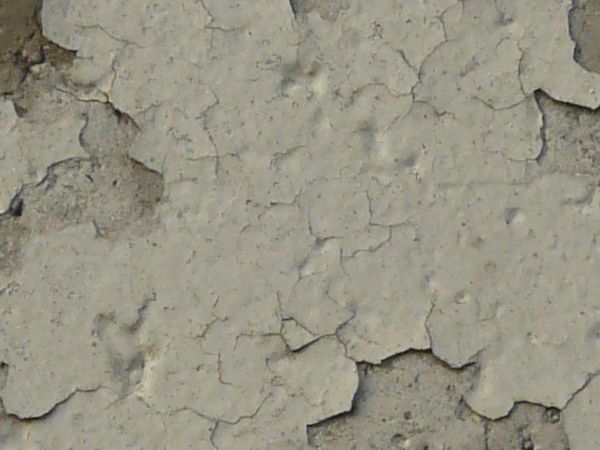 painted plaster texture 0044 - Texturelib