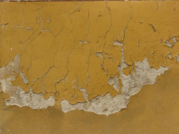 painted plaster texture 0050 - Texturelib