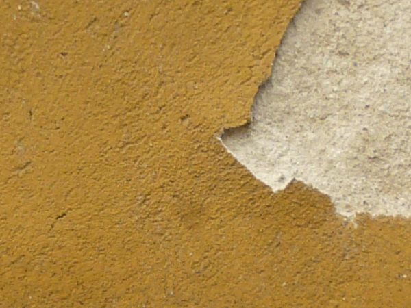 painted plaster texture 0050 - Texturelib