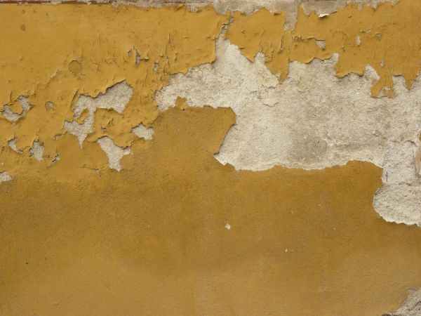 painted plaster texture 0050 - Texturelib