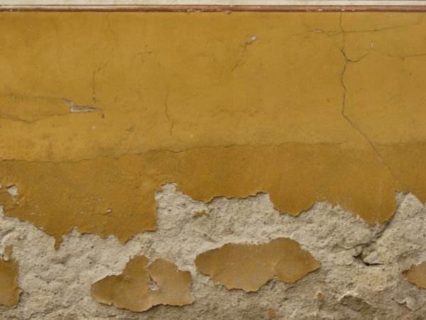 painted plaster texture 0050 - Texturelib