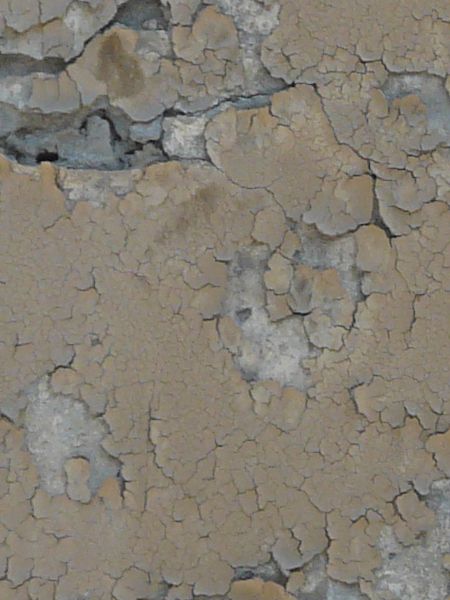 painted plaster texture 0056 - Texturelib