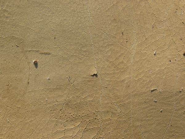 worn cracked foam 0006 - Texturelib