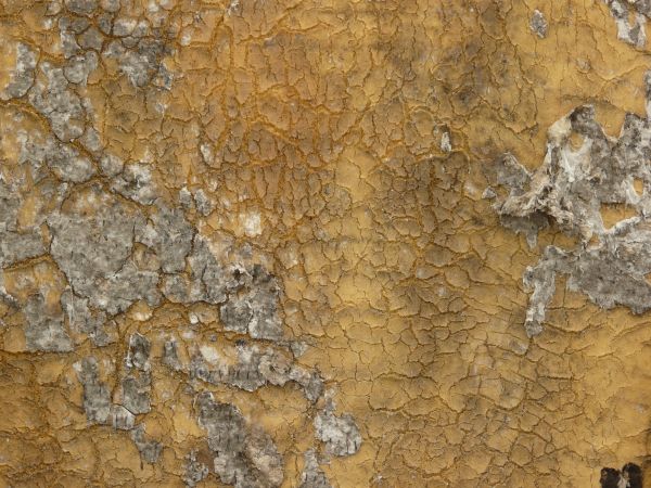 cracked foam texture 0014 - Texturelib