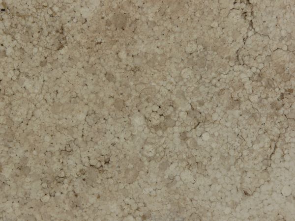 old cork texture 0020 - Texturelib