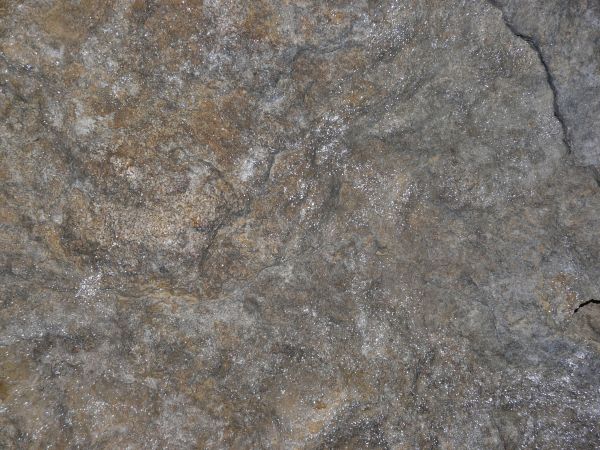 glistening grey trock texture 0004 - Texturelib