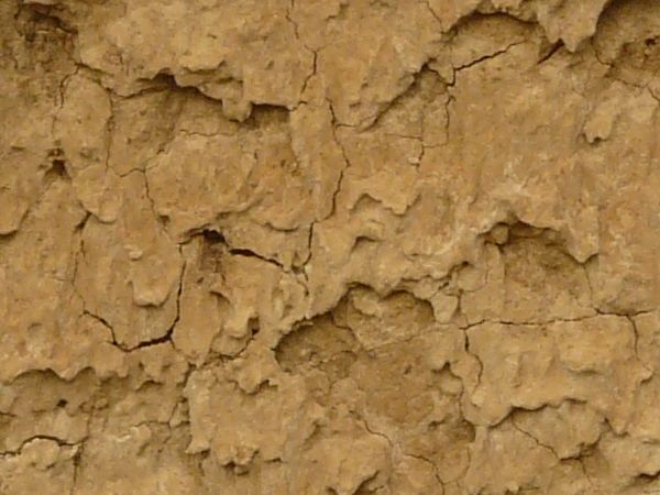 irregular beige stone 0025 - Texturelib