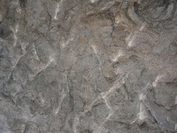 grey stone texture 0027 - Texturelib