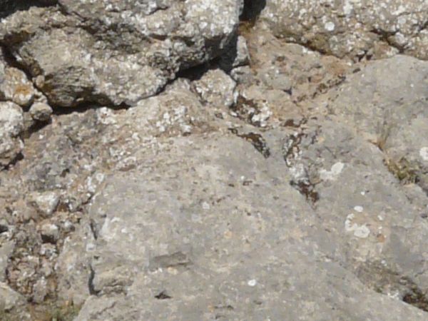 crumbling beige cliff texture 0011 - Texturelib