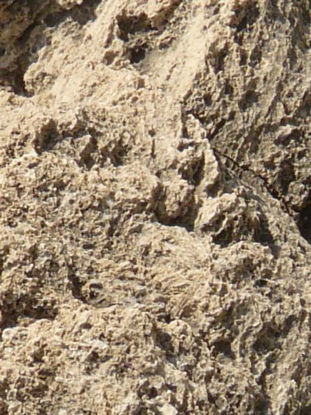 Light Brown Rock Texture