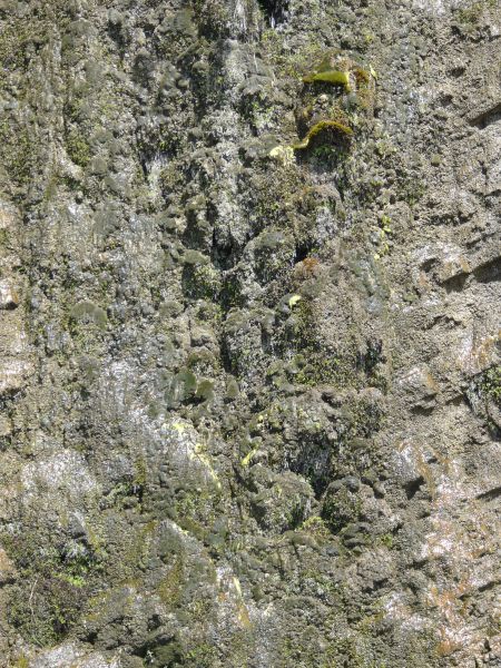 cliff texture 0072 - Texturelib