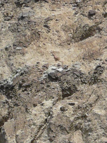 cliff texture 0075 - Texturelib