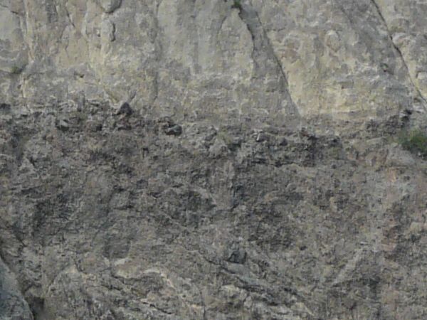 cliff texture 0077 - Texturelib