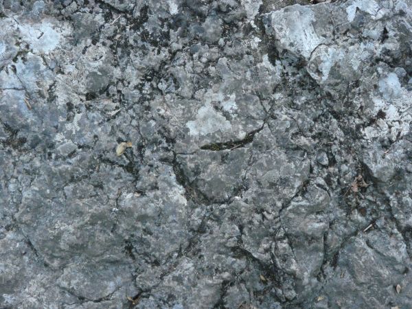 cracked grey rock texture 0001 - Texturelib
