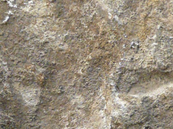 stone in concrete texture 0030 - Texturelib