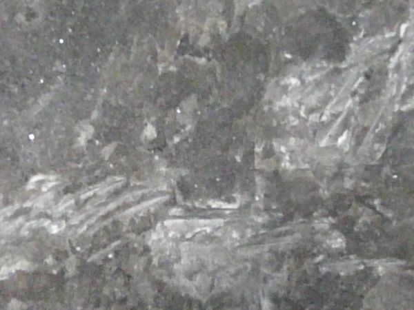 flat grey stone surface 0036 - Texturelib