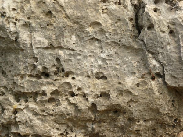 rock texture with holes 0090 - Texturelib