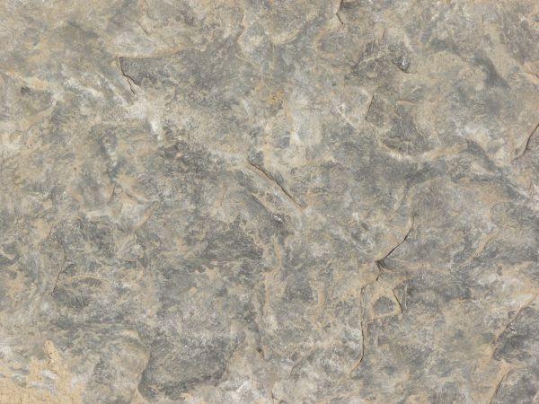 grey stone surface 0097 - Texturelib