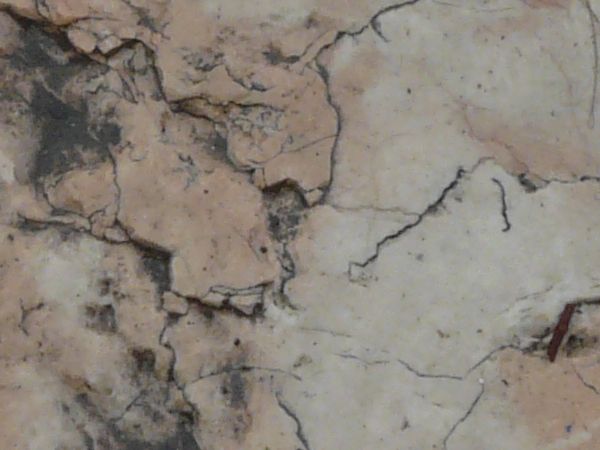 spotted white stone 0109 - Texturelib