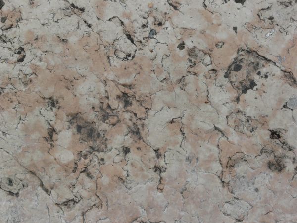 spotted white stone 0109 - Texturelib