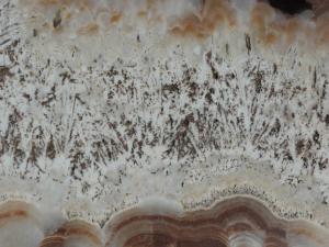 stone textures - Texturelib