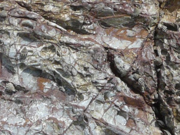 stone texture 0171 - Texturelib