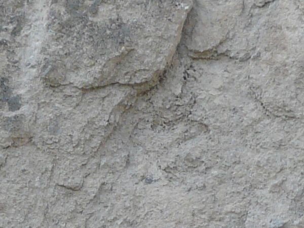 stone texture 0181 - Texturelib