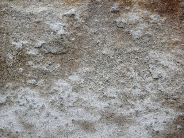 stone texture 0182 - Texturelib