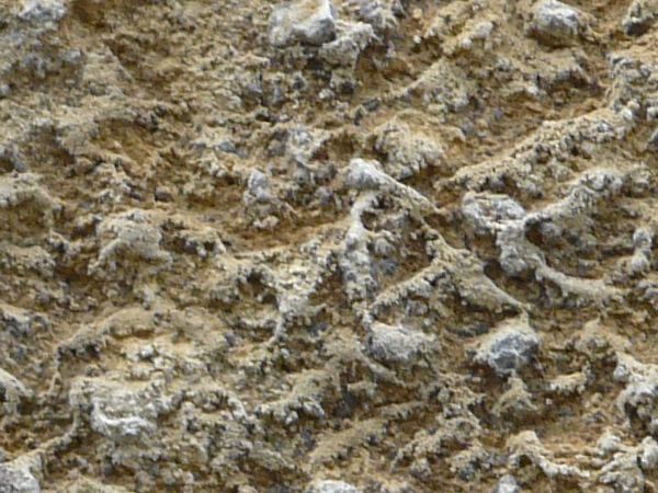 stone texture 0184 - Texturelib