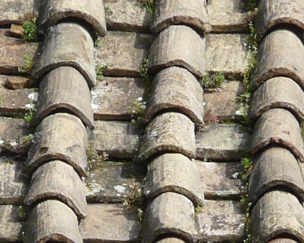 roof texture 0109 - Texturelib