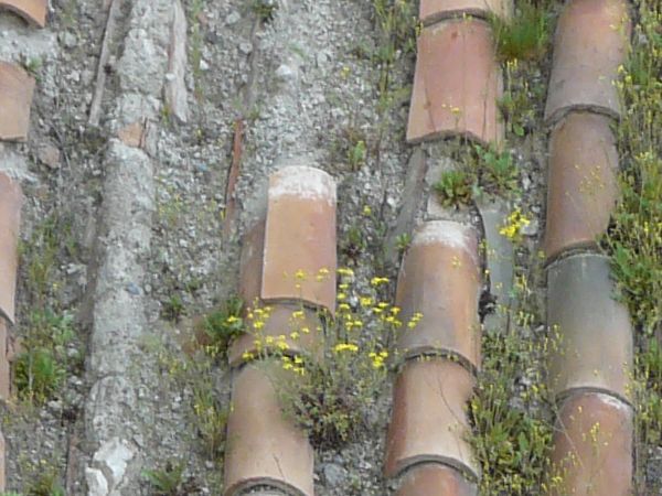 roof texture 0111 - Texturelib