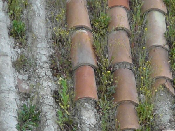 roof texture 0111 - Texturelib