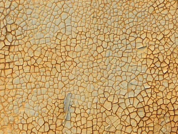 heavily chipped paint texture 0011 - Texturelib