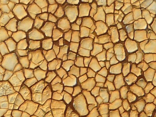 heavily chipped paint texture 0011 - Texturelib