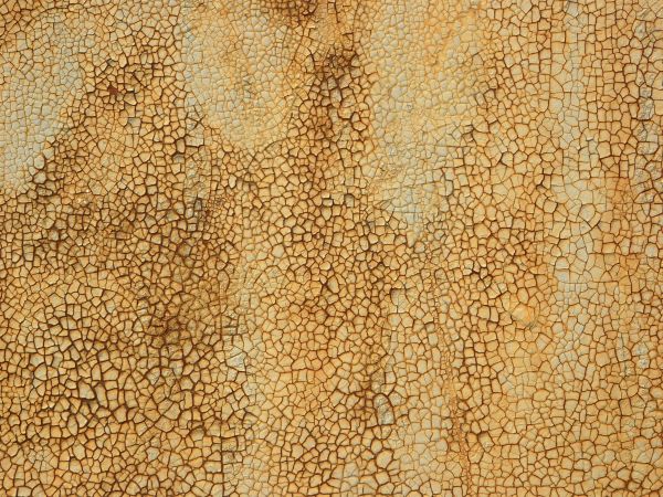 heavily chipped paint texture 0011 - Texturelib