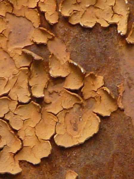 stained peeling paint texture 0015 - Texturelib