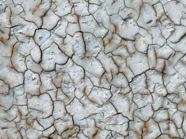 heavily cracked paint texture 0016 - Texturelib